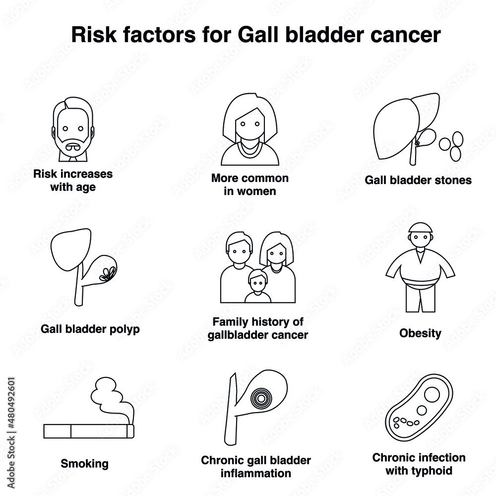 Risk factors for gall bladder cancer outline flat vector icon ...