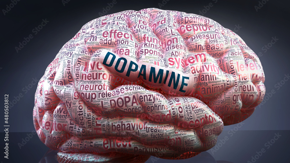 Dopamine in human brain, hundreds of crucial terms related to Dopamine ...