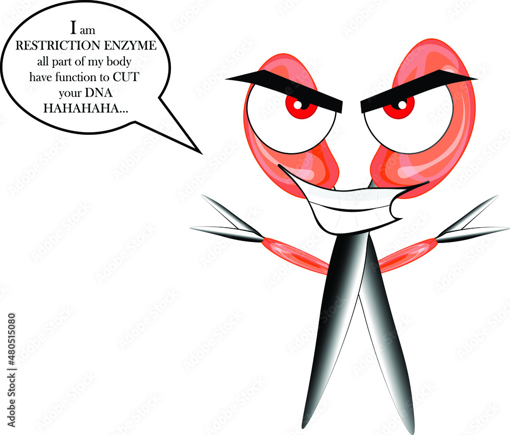 Restriction Enzyme Cartoon polymerase chain reaction DNA (Deoxyribo ...