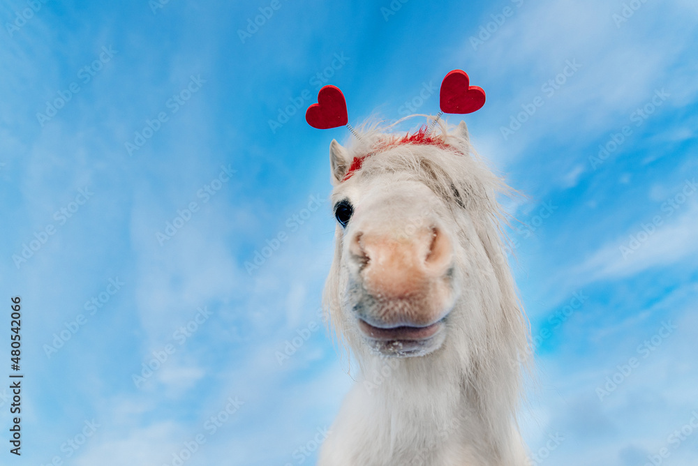 Lovely white pony with red hearts on its head Stock Photo | Adobe Stock