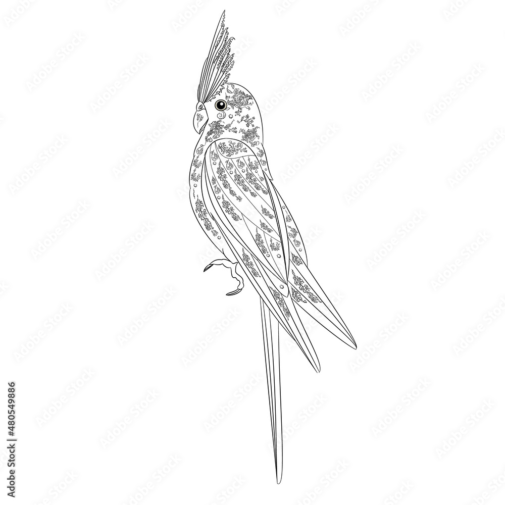 Cockatiel parrot cute tropical bird funny parrot with ornaments outline ...