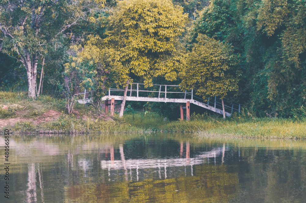 Uma paisagem bucólica no interior do Brasil de um lago com a vegetação ...