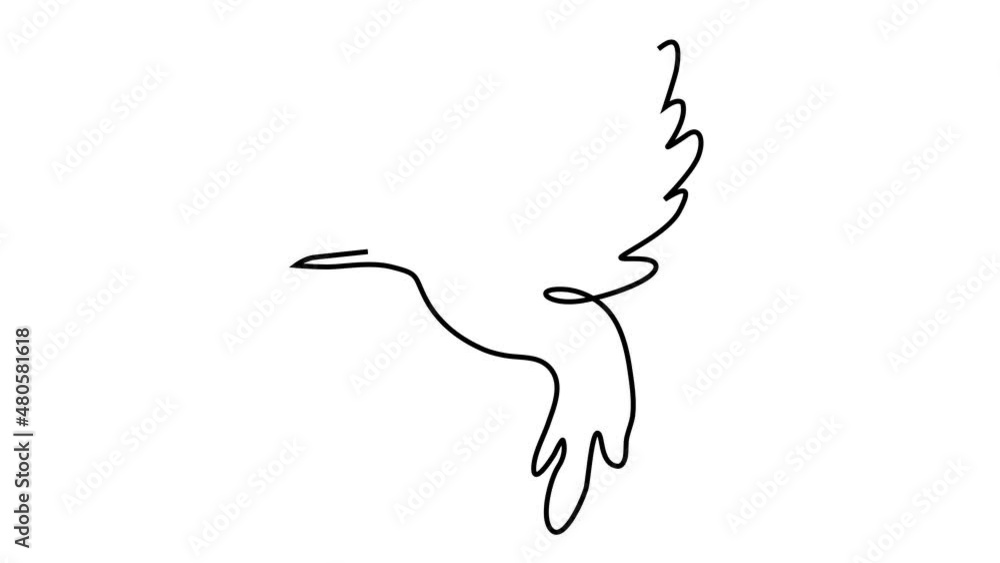 continuous line drawing of birds for the identity of the company's ...