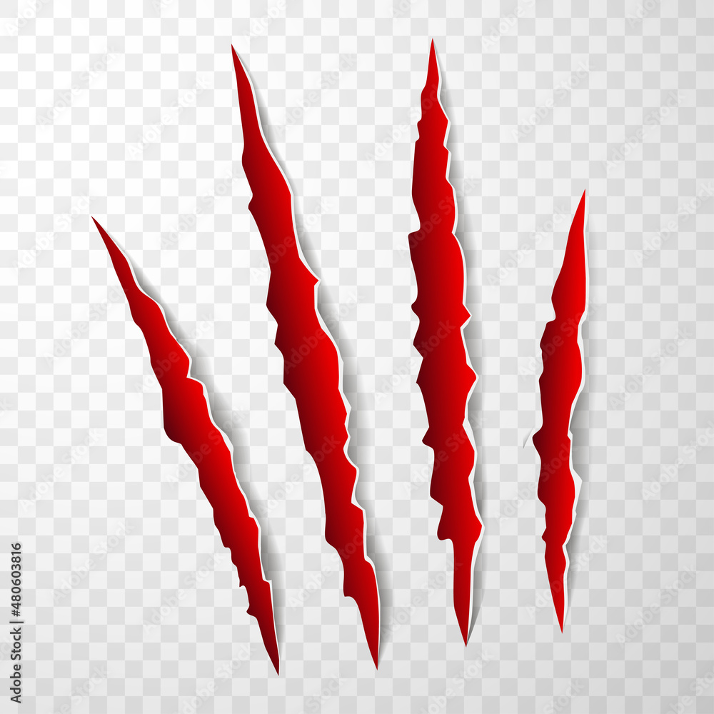 Red animal claw marks, scratches, talons cuts cat, tiger, dog, lion ...