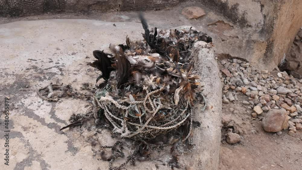 Tongo Hills Tengzug Shrines sacrifice altar feathers bones Ghana ...