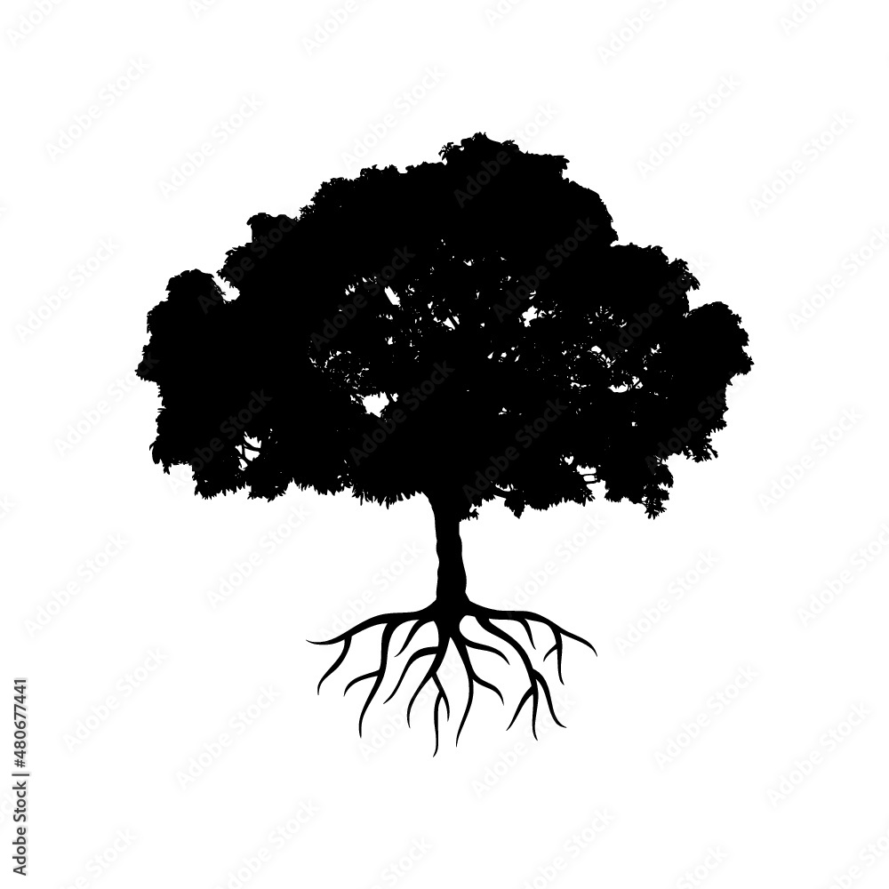 Tree of life logo design isolated on white background Stock Vector ...