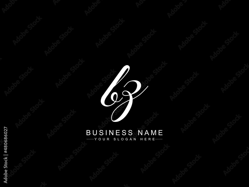 Premium BZ Logo, Majestic Bz Signature Letter Logo Image design for ...