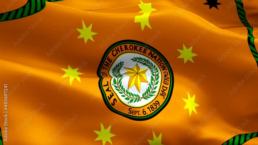 Cherokee flag. National 3d Cherokee flag waving seamless loop animation ...