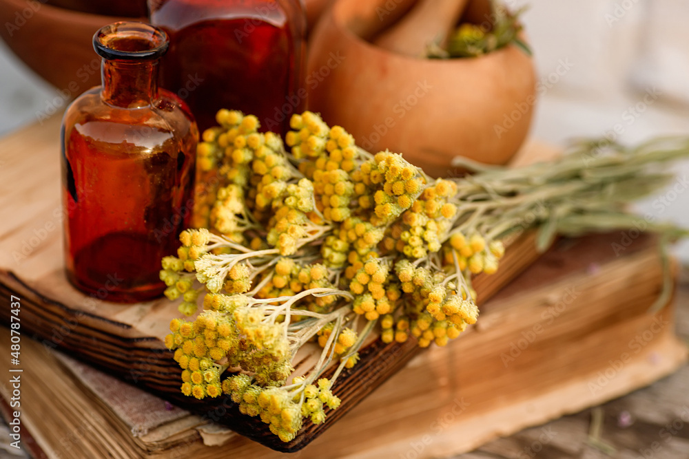 Yellow flowers immortelle close-up. Curry Plant, Herb of St. John ...
