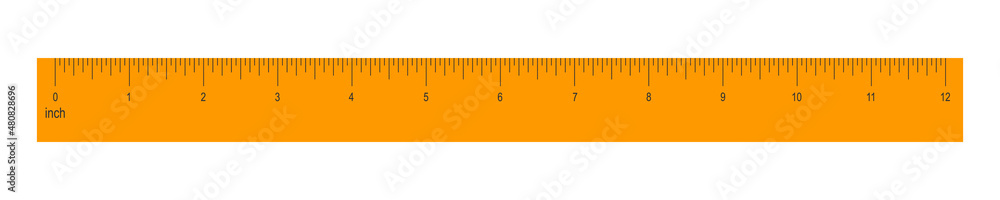 12 inches or 1 foot orange ruler isolated on white background. Math or ...
