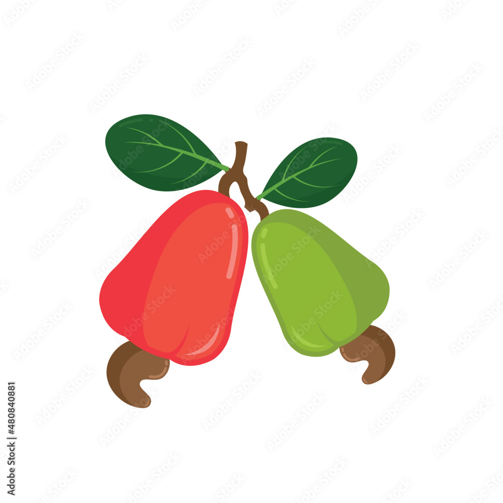 cashew nut vector illustration concept design templatecashew Stock ...