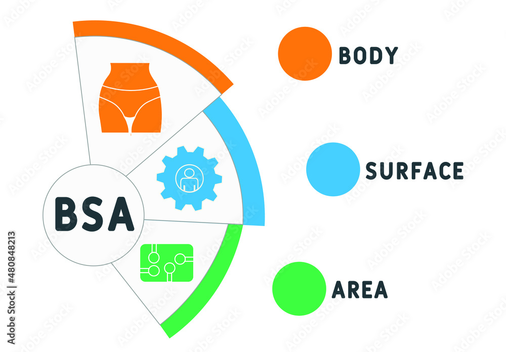 BSA - Body Surface Area acronym. business concept background. vector ...