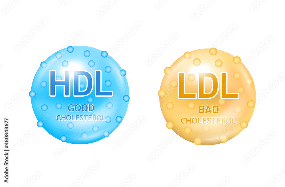 Types of cholesterol with good HDL High density lipoprotein and bad LDL ... Types of cholesterol with good HDL High density lipoprotein and bad LDL ...