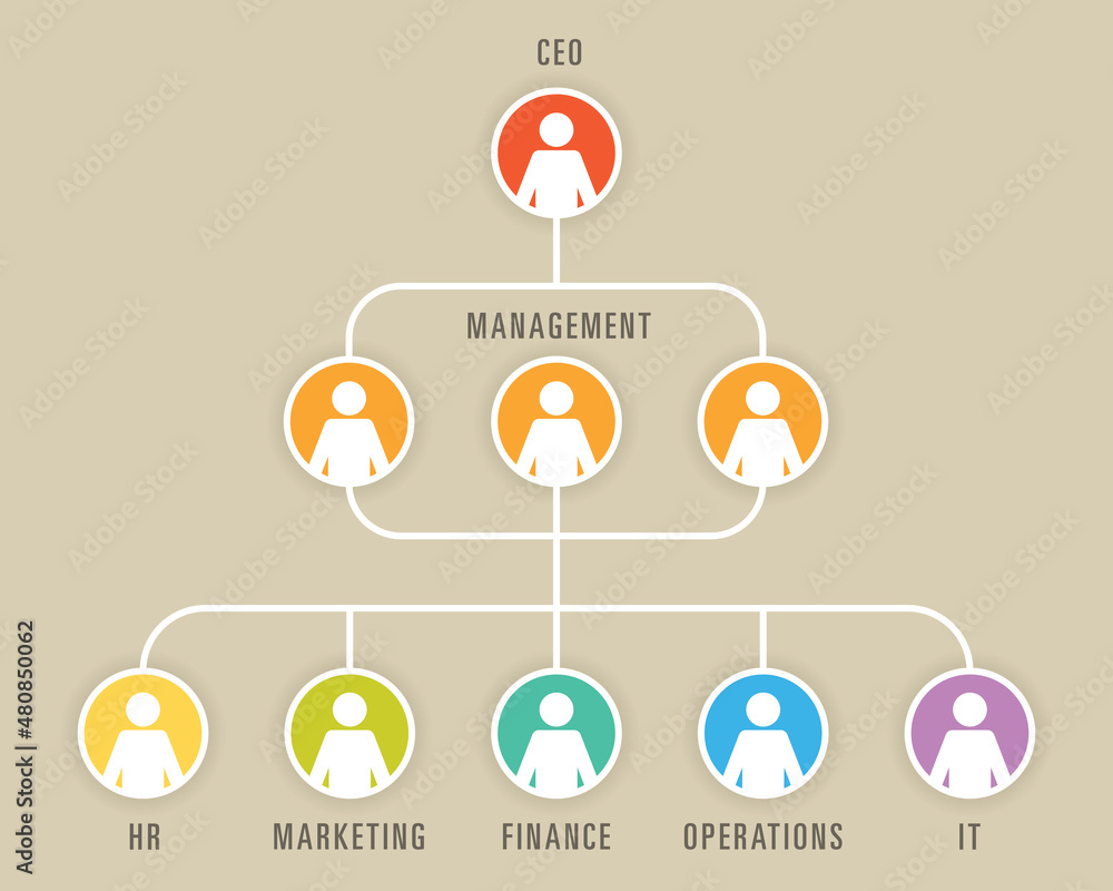 Business chart showing corporate structure of company. Vector ...