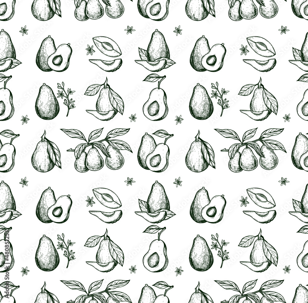 Seamless pattern with vintage hand drawn avocado sketch. avocado ...