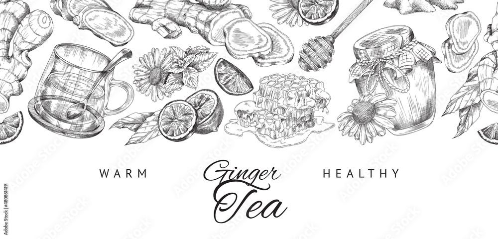 Ginger tea hand drawn vintage style background, engraving vector ...