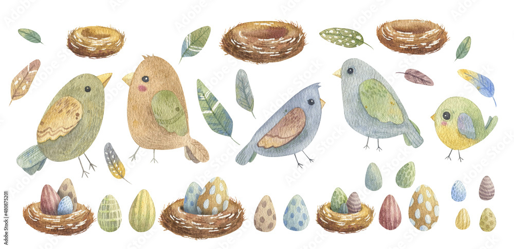 Watercolor clipart with eggs, nests and different birds and feather ...