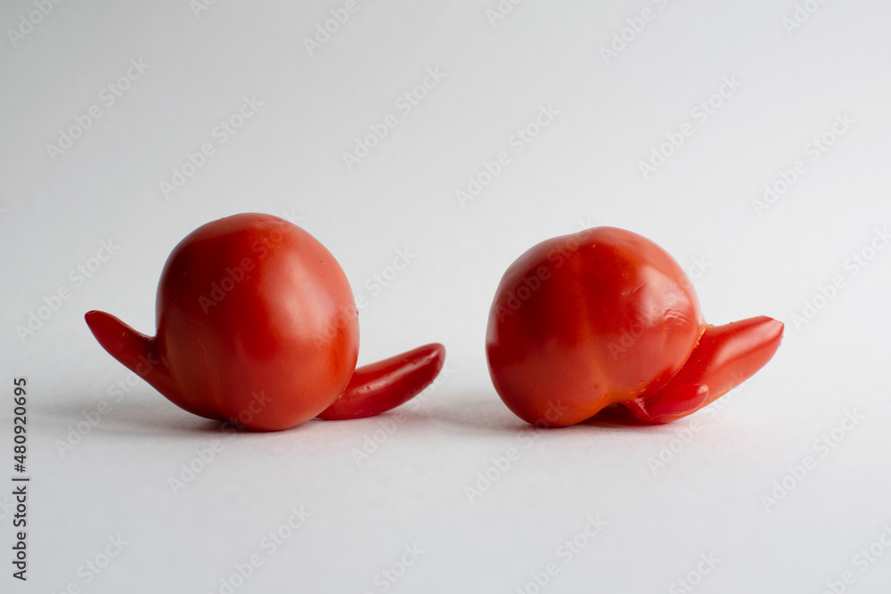 Two funny ugly tomatoes in red on a white background. Image with copy ...