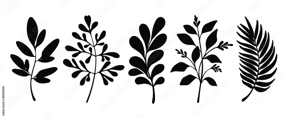 Set of leaves silhouette of beautiful plants, leaves, plant design ...