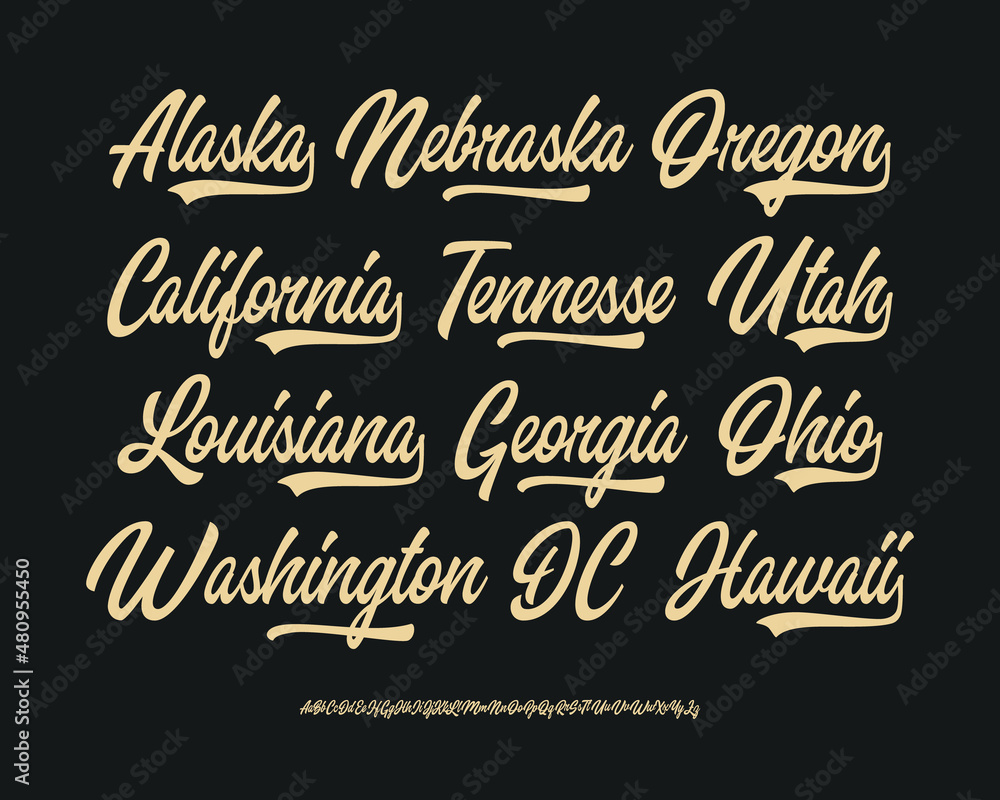 Brush Script Lettering Font with Lettering Set. Vector Stock Vector ...