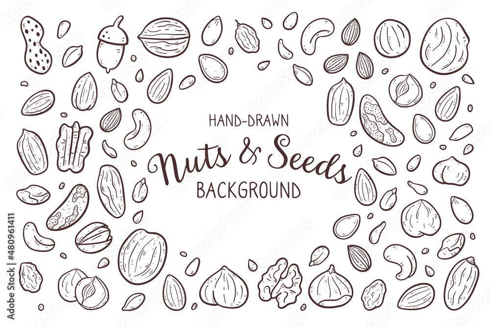 Hand-drawn nuts and seeds background. Food ingredients for cooking ...