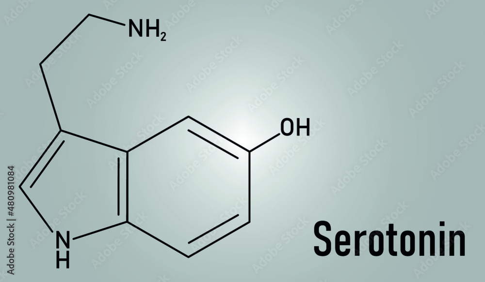 Serotonin neurotransmitter molecule. Skeletal formula. Chemical ...