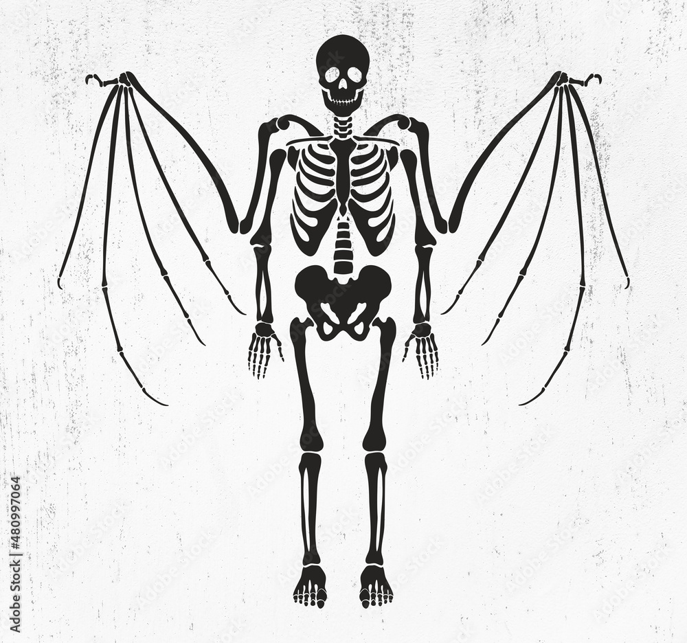 Plakat Skeleton with wings SVG, Fallen Angle Skeleton Svg, Skeleton Png ...