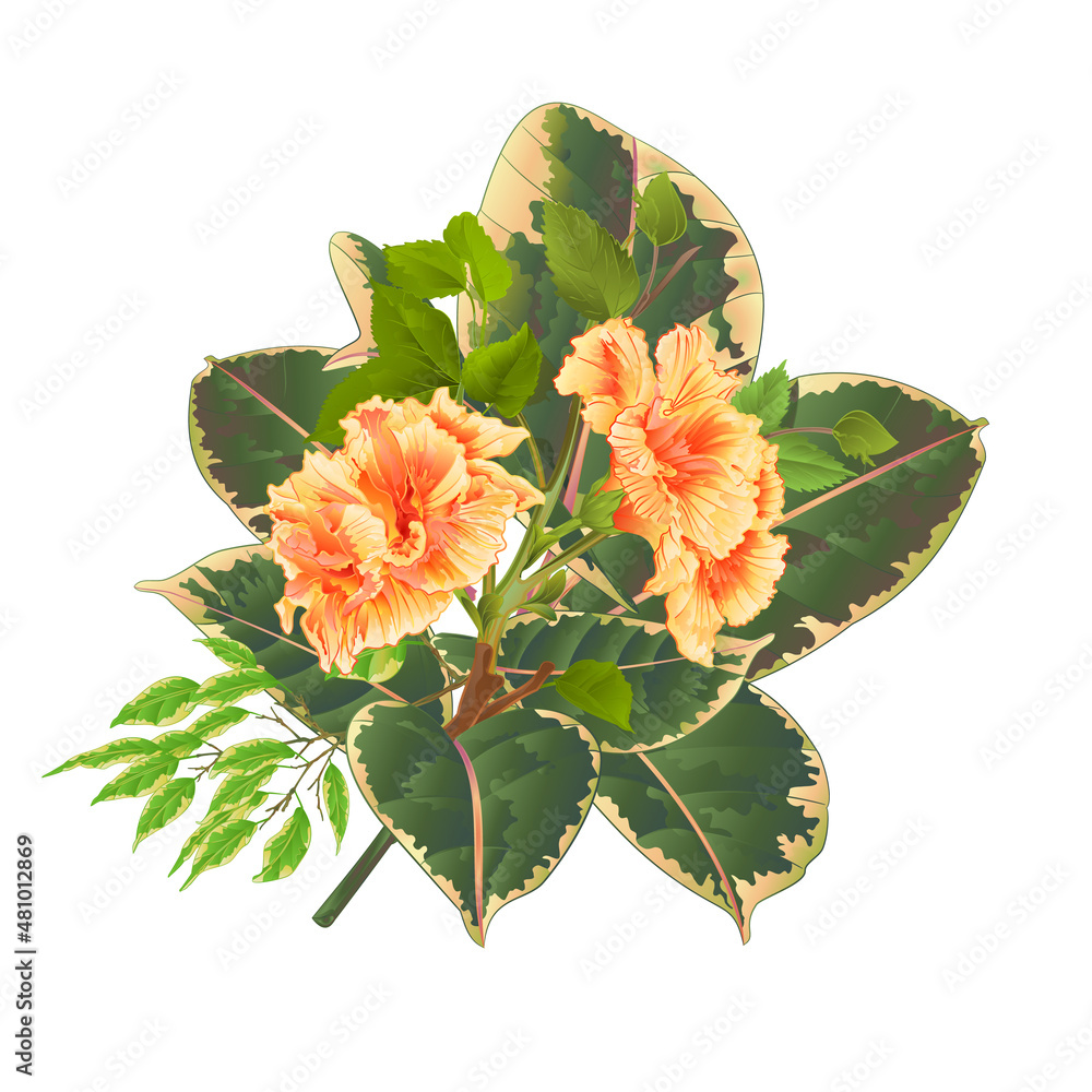 Bouquet with tropical flowers floral arrangement, with beautiful yellow ...