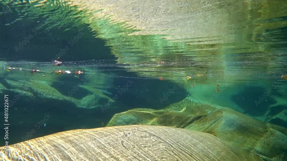 Video Stock The fast flowing waters of the mountain river sharpen the ...