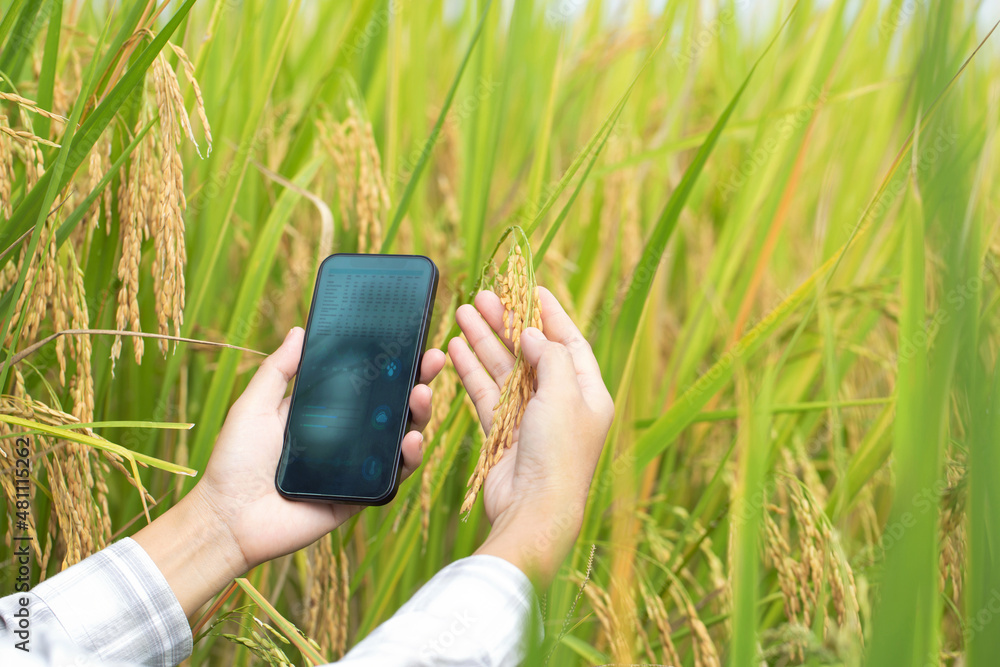 Smart farming Agricultural technology and organic agriculture Woman ...