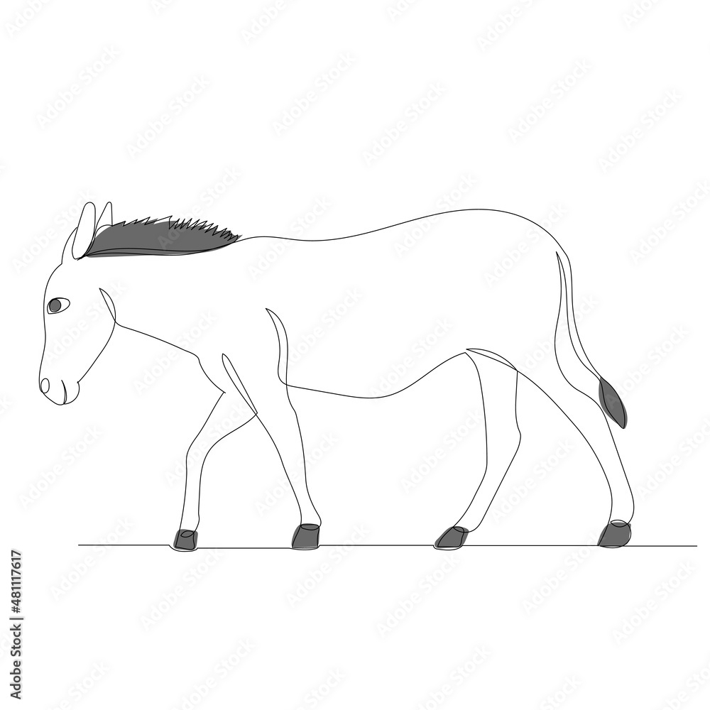 donkey line drawing, sketch, vector Stock Vector | Adobe Stock