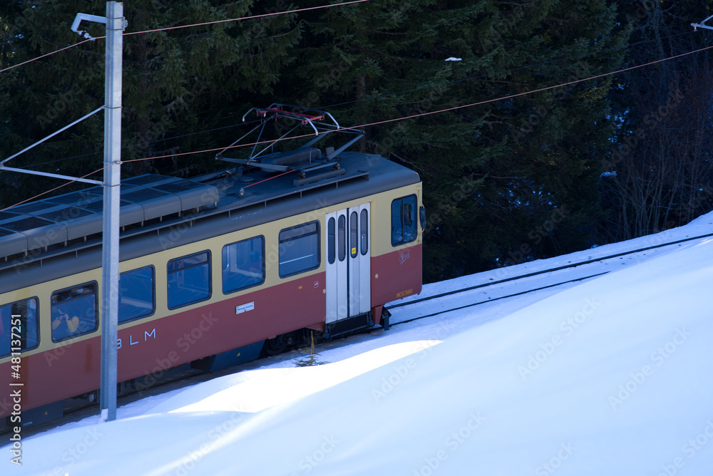 Train of Lauterbrunnen Mürren Mountain Railway LMB between station ...