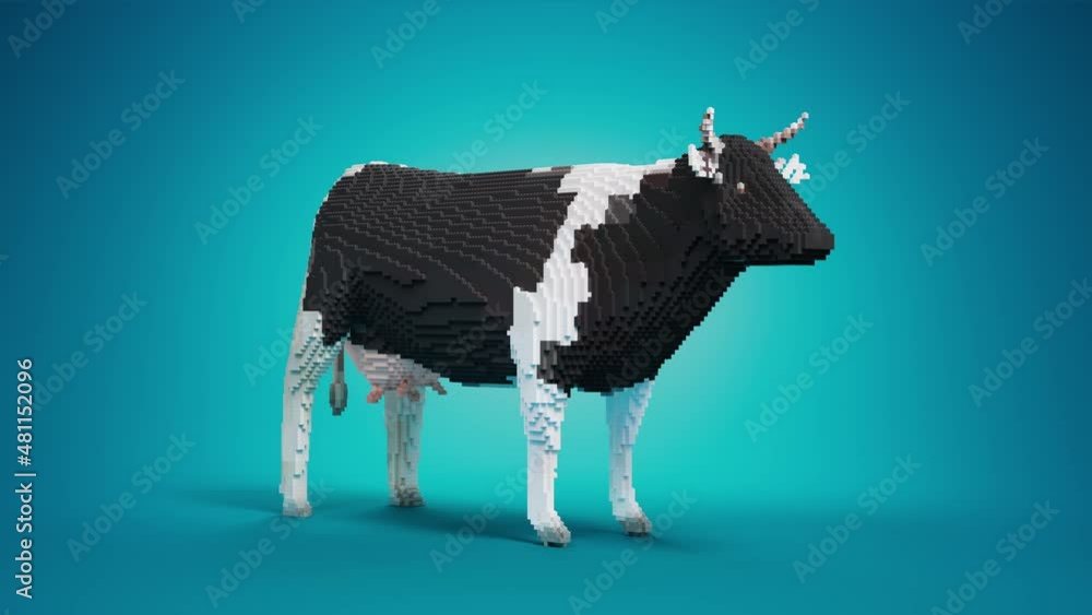 Vidéo Stock Toy blocks. Cow figure assembling from toy bricks on a blue ...
