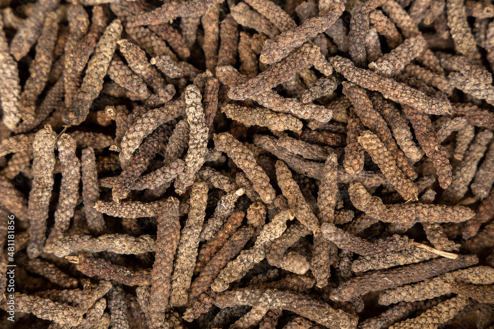 Dried long pepper, piper longum background and texture, Top view flat ...