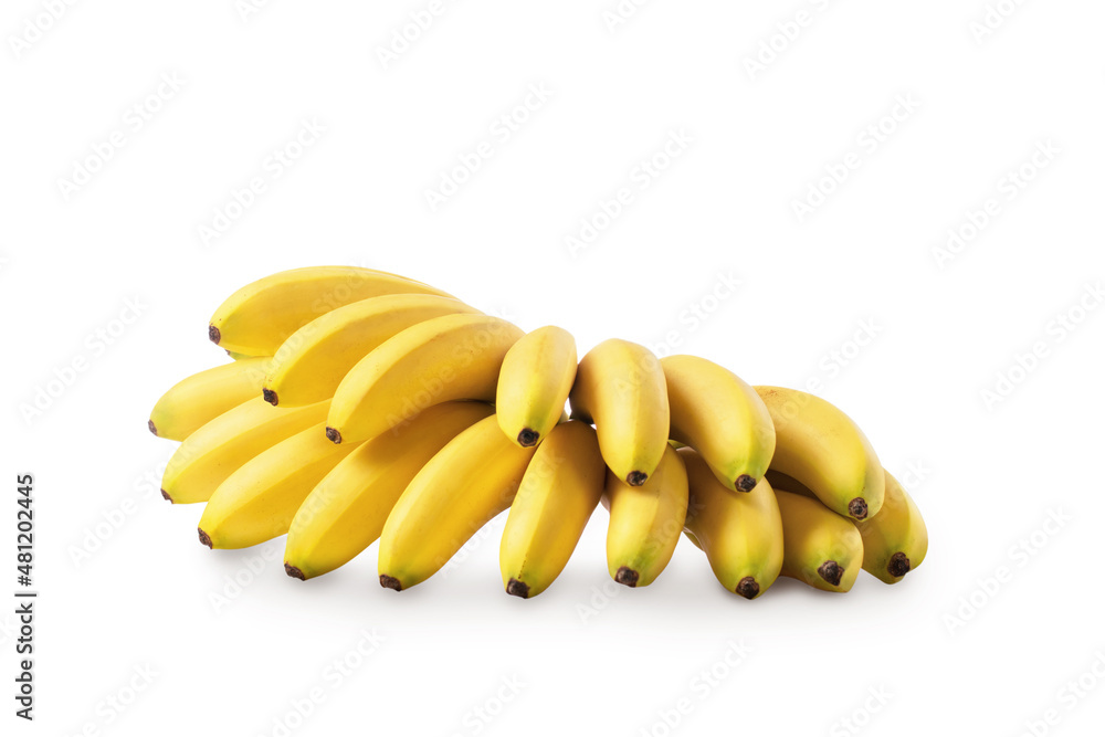 Mini banana bunch, tropical fruits. Isolated on white background with ...
