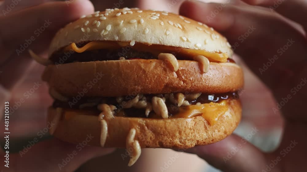 Men's hands hold juicy burger with beef patty full of live maggots ...