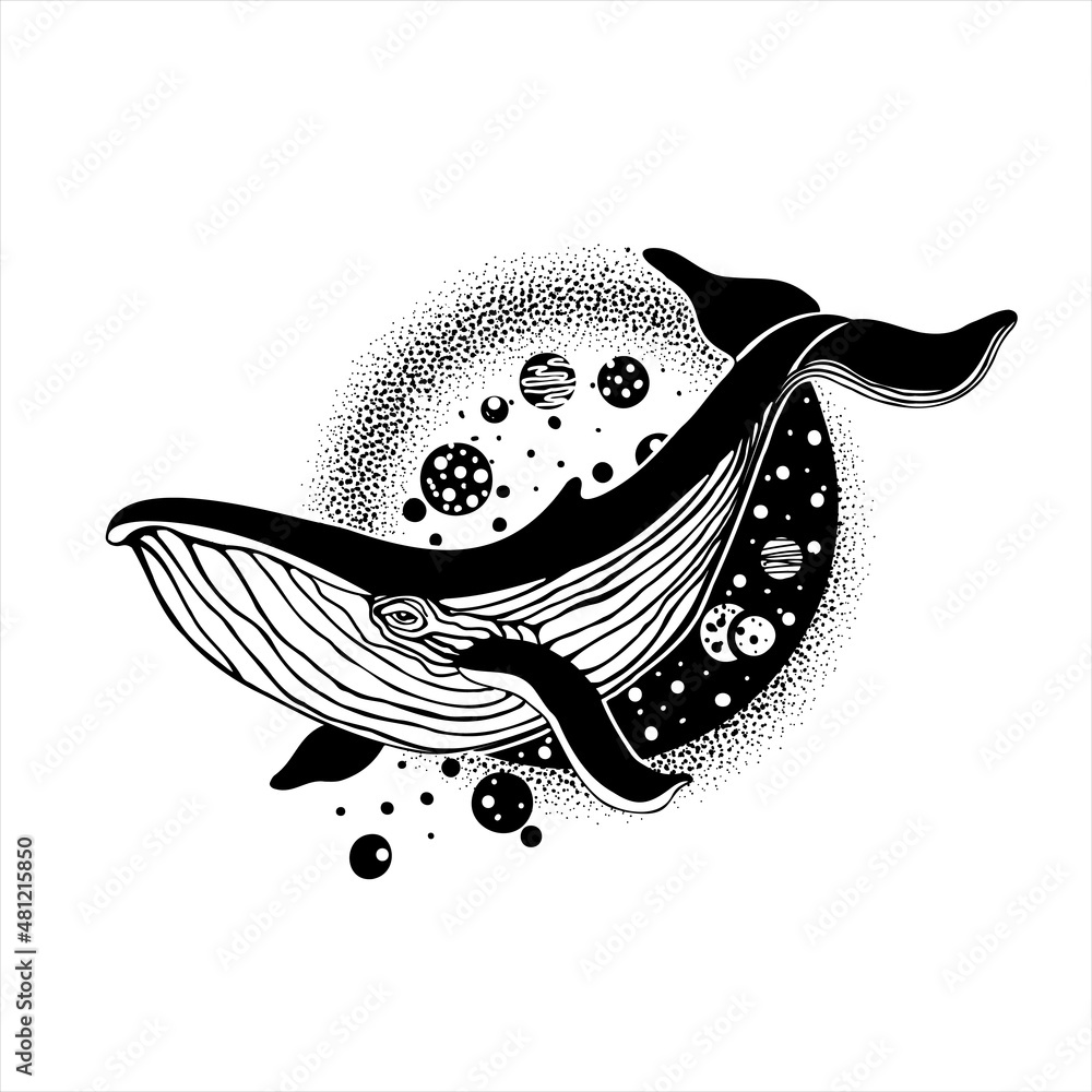 Humpback whale floating in space. Vector silhouette of a striped whale ...