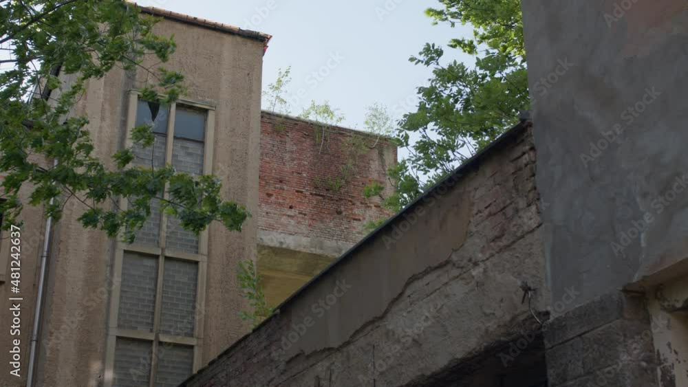 Wind is moving green leaves next to an abandoned building with an old ...