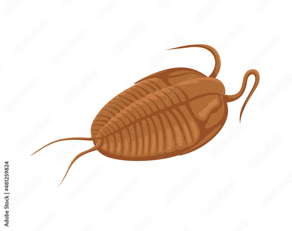 Poster Evolution of life forms on Earth concept – Wall Art | UkPosters