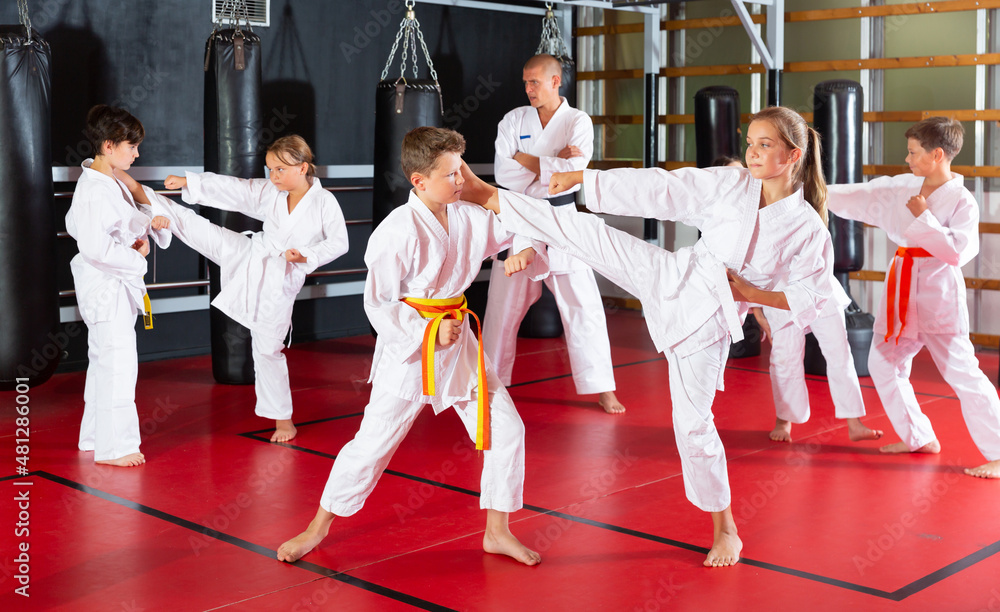 Diligent positive schoolchilds practicing kicks in pairs in karate ...