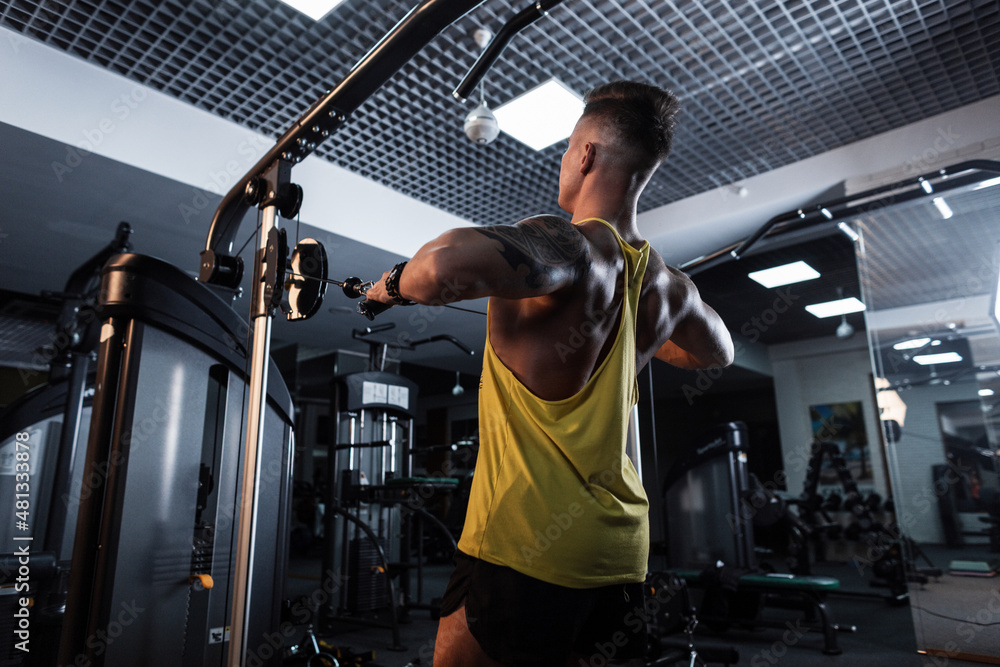 muscular man trains and pumps his back muscles in the gym. Bodybuilder ...
