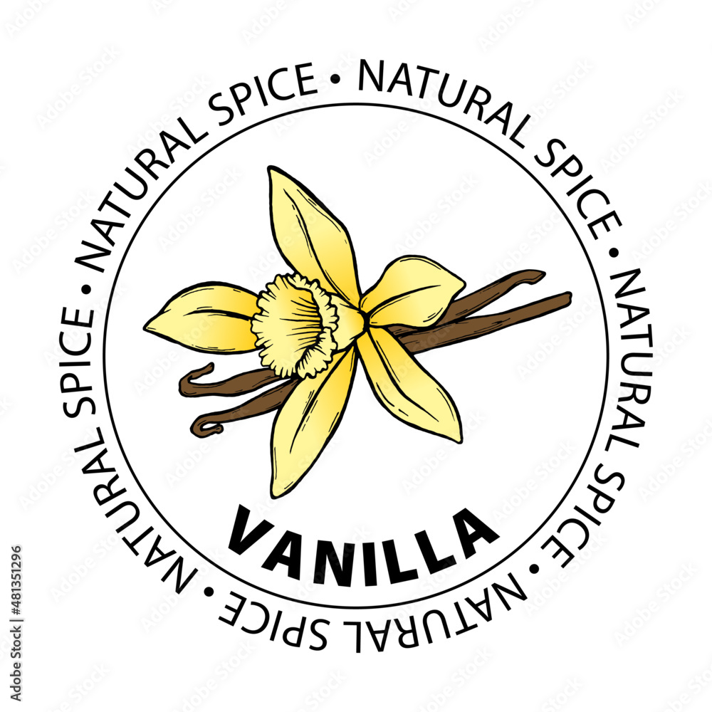Vanilla spice. Label vanilla spice. Color vector illustration ...