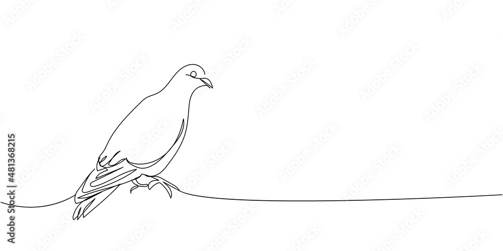Dove continuous line drawing. One line art of time of love, birds ...