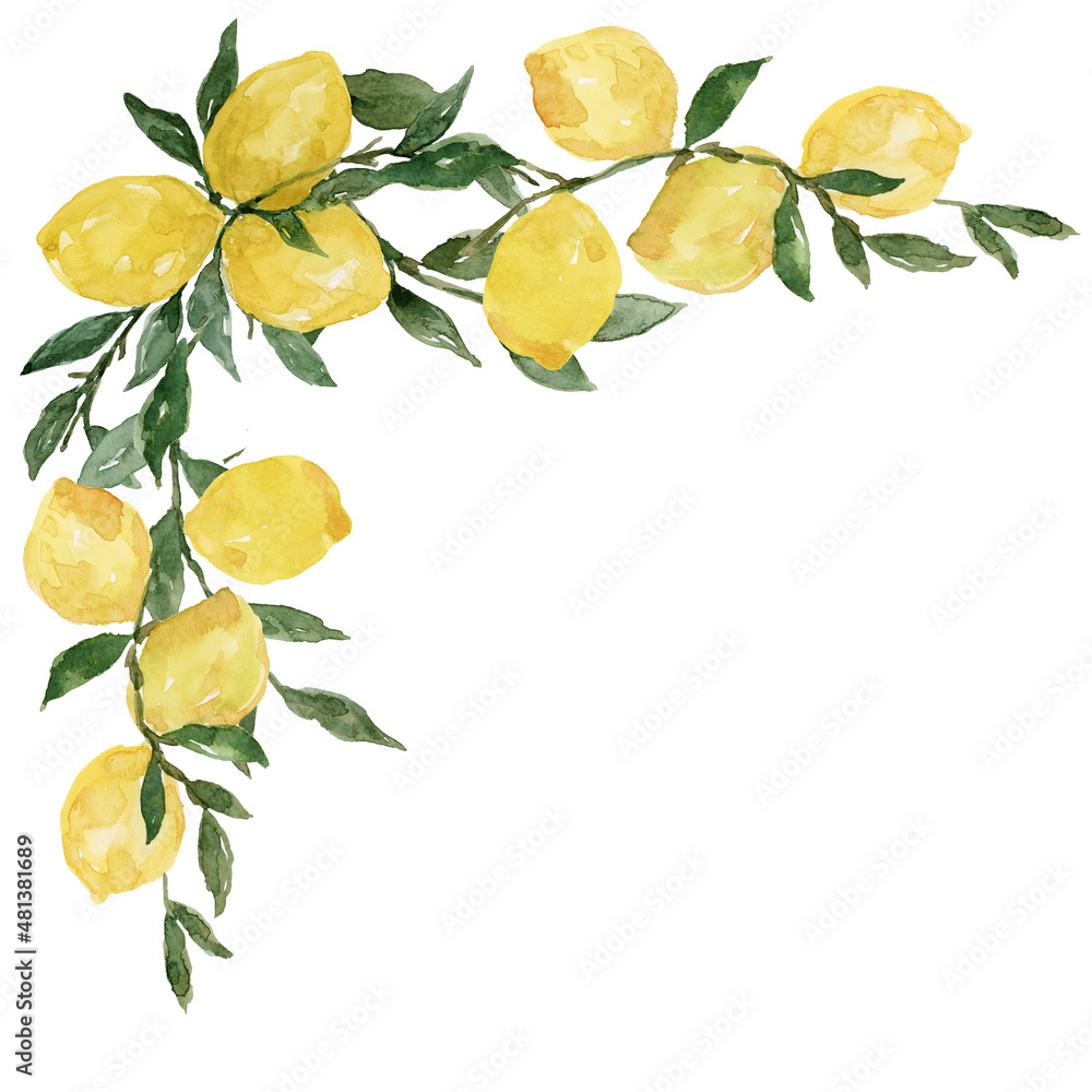 Lemon branch with leaves, border and frame watercolor painting Stock ...
