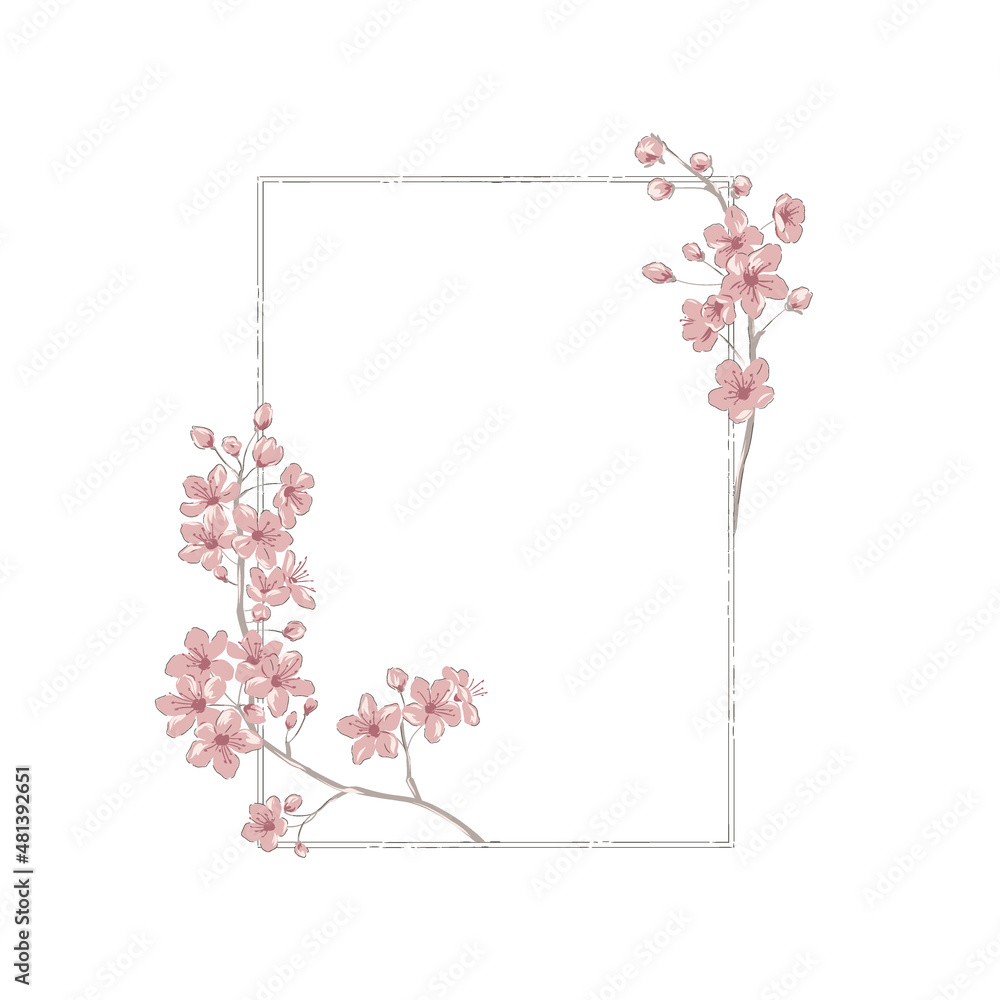 Sakura Cherry blossom hand drawn flower frame vector illustration ...