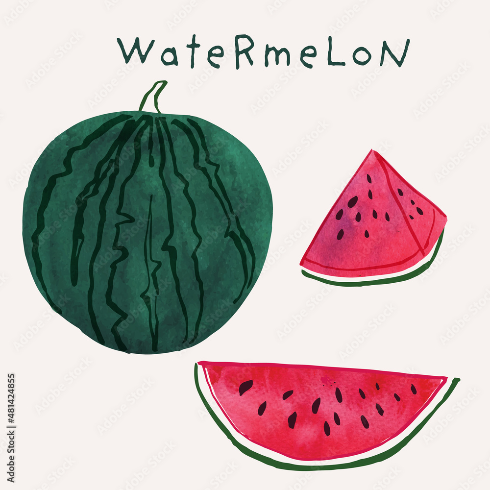 Watermelon illustration summer fruit vector set with watercolor texture ...