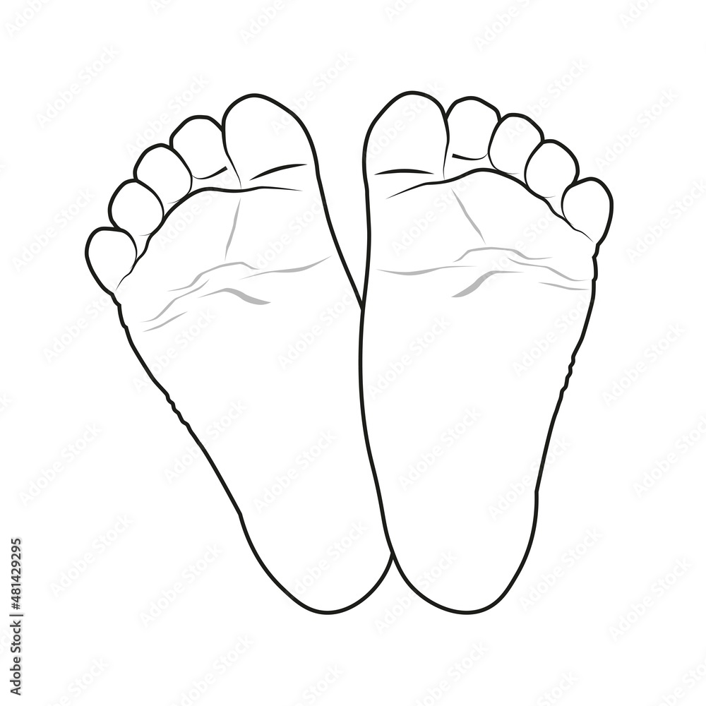 baby feet contour, vector illustration isolated on white background ...