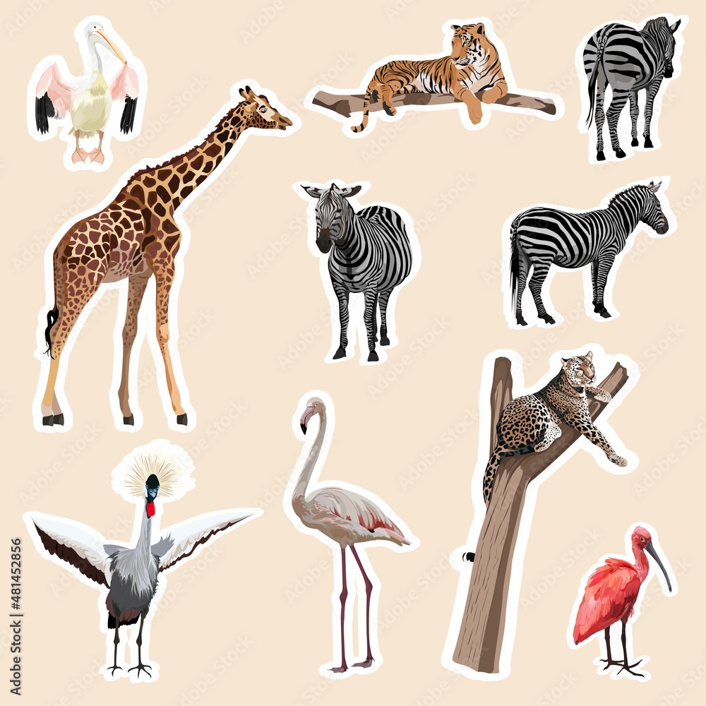 Big set of cute animal and bird stickers illustration. Set of stickers ...