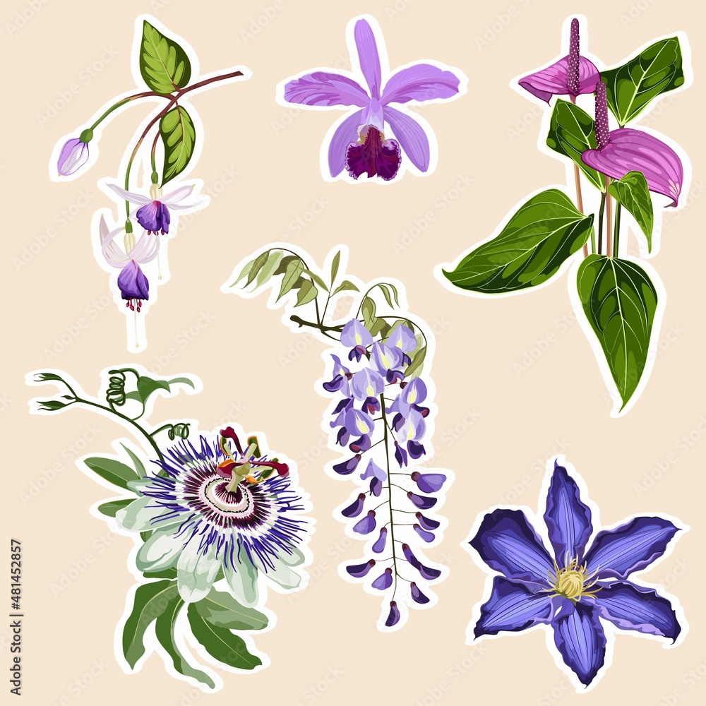 Set of tropical exotic violet flowers elements. Set of stickers, pins ...