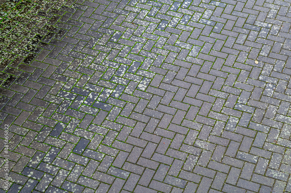 Betonpflastersteine in einer Einfahrt mit grünem Belag und weißen ...